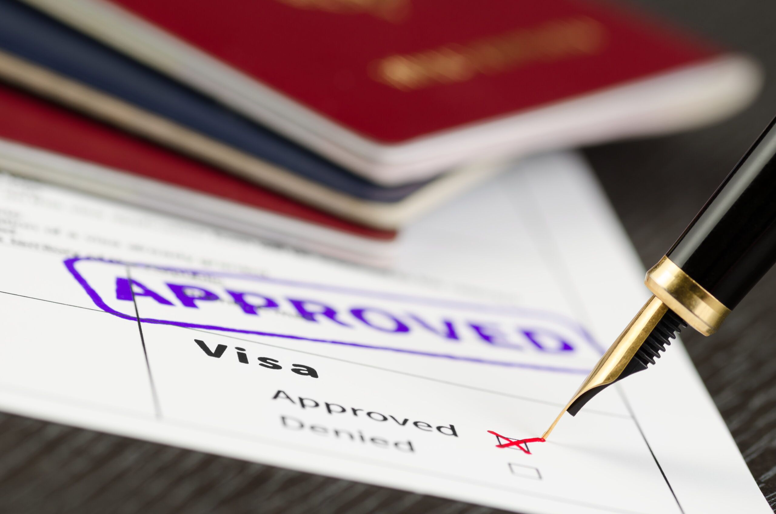 IMMIGRATION X-RAYS | Afrirad Medical Imaging